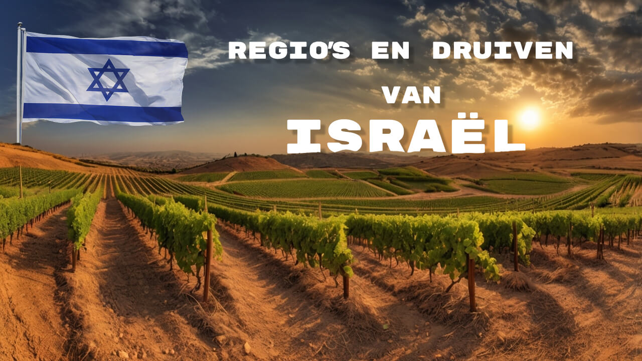 Ontdek de beste wijnen van Israël